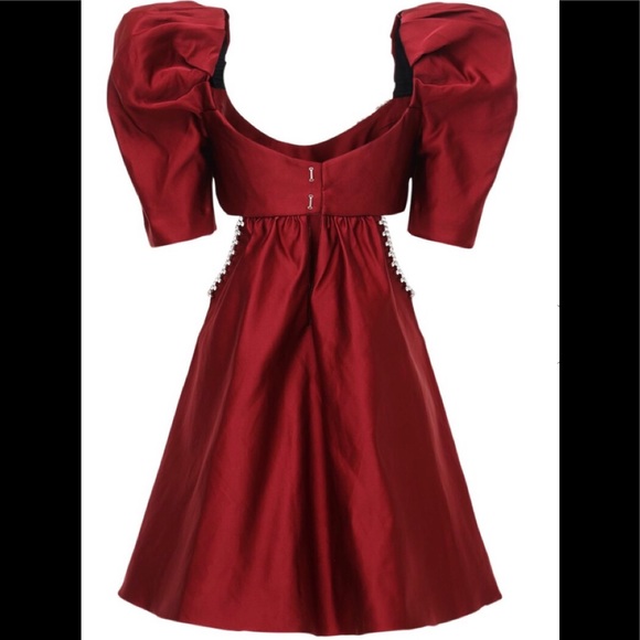 AREA | Dresses | Area Sculpted Sleeve Dress | Poshmark